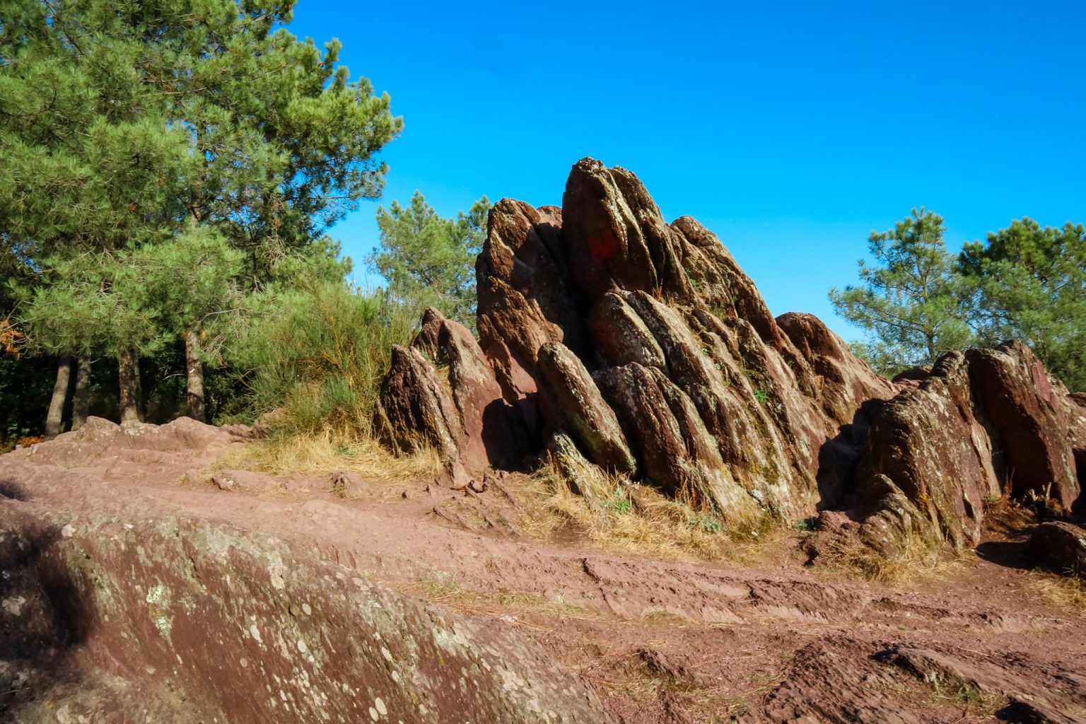 10 jours en Bretagne : entre nature sauvage, terre et mer - Cindiaries